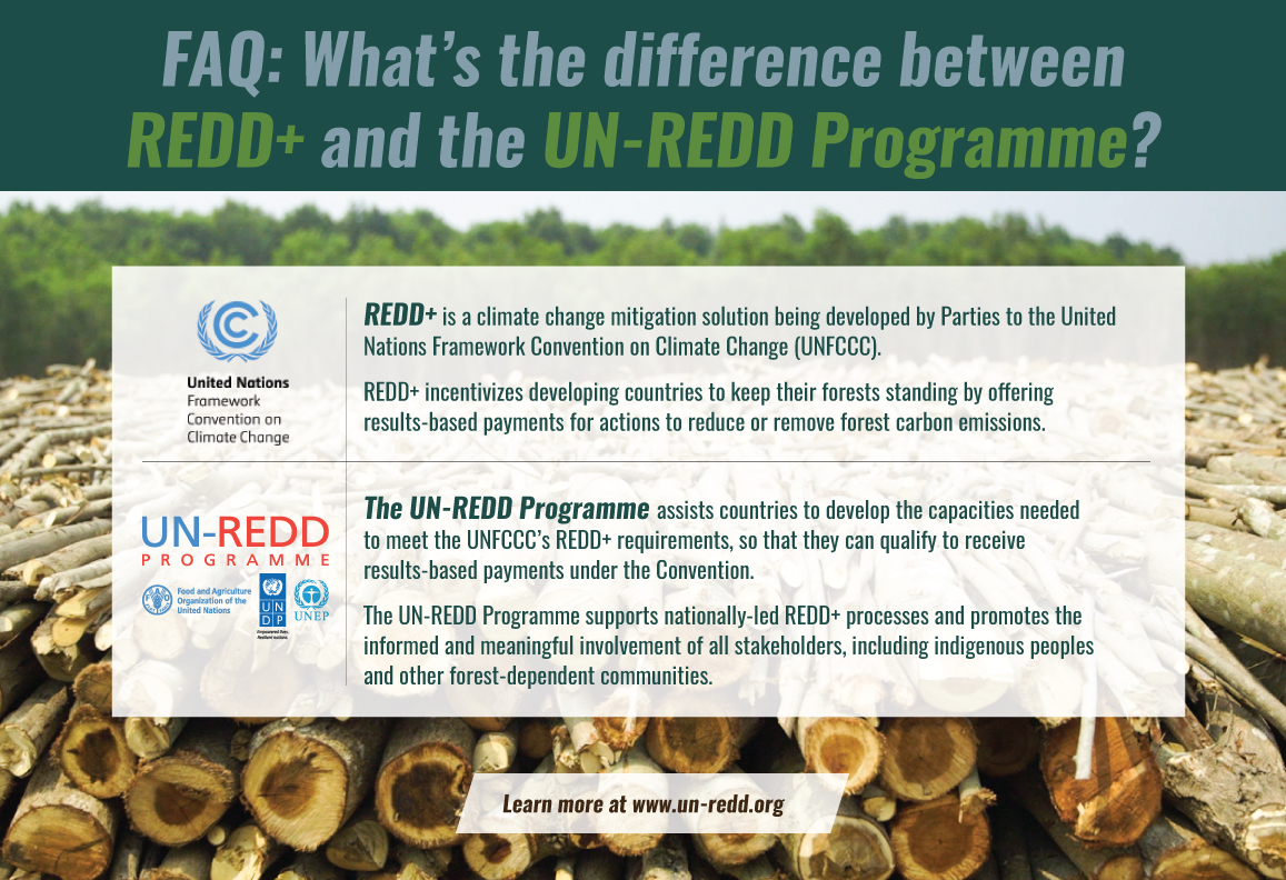 REDD+ कार्यक्रम