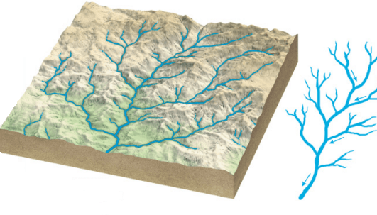 Drainage Patterns And Drainage Systems Of India SA IAS ACADEMY