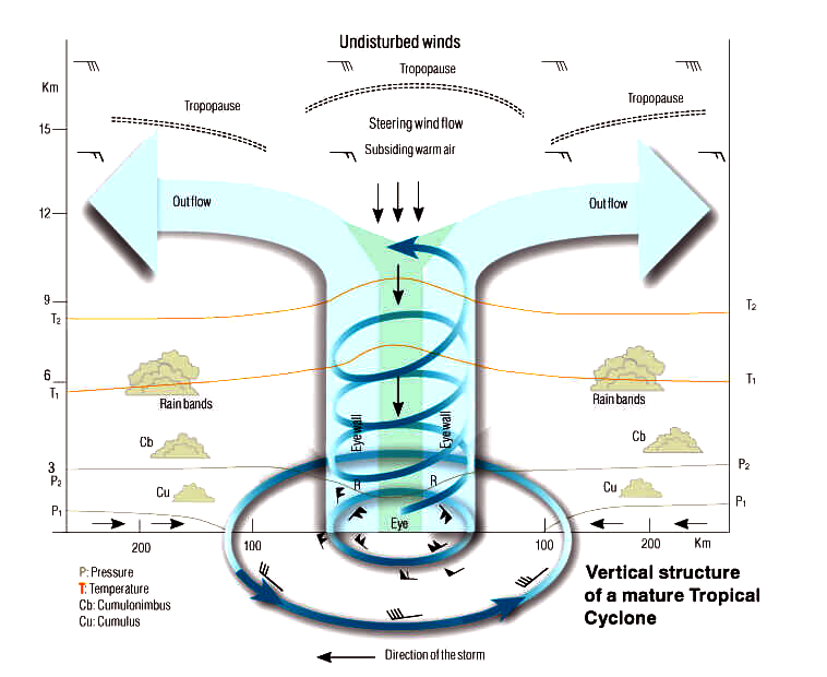 Cyclone Management Framework